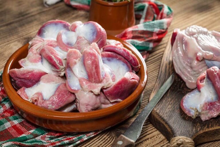 Moela tem colágeno? Descubra os Benefícios Nutricionais